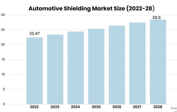 Electrifying the Road: Automotive Shielding in Electric Vehicles