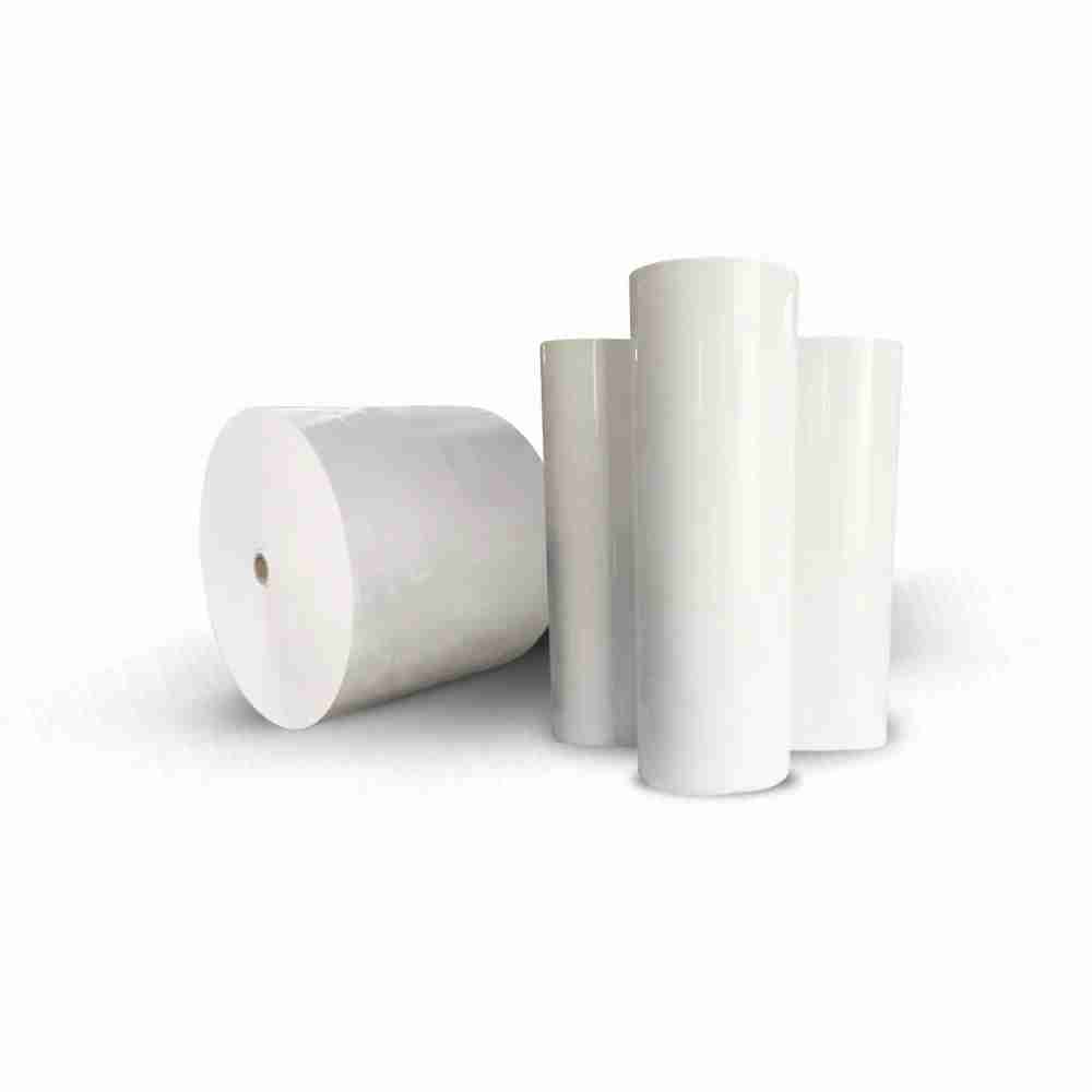 Manure Belts – The Ultimate Guide for Poultry and Livestock Waste ...